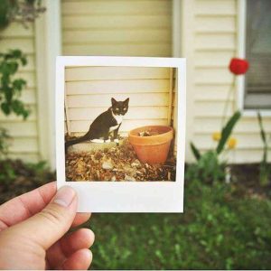 √ Ukuran Foto Polaroid Standar Beserta Contohnya